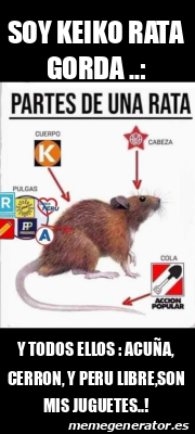 Meme Personalizado - SOY KEIKO RATA GORDA ..: Y TODOS ELLOS : ACUÑA ...