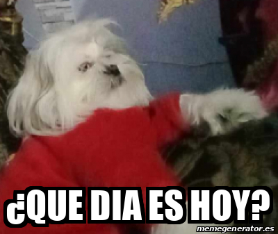 Meme Personalizado - ¿que dia es hoy? - 33259472