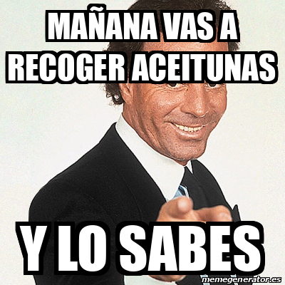 Meme Julio Iglesias - MAÑANA VAS A RECOGER ACEITUNAS Y LO SABES - 33260327