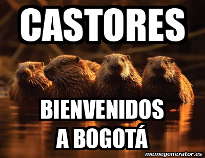 Meme Personalizado - castores bienvenidos a bogotá - 33260851