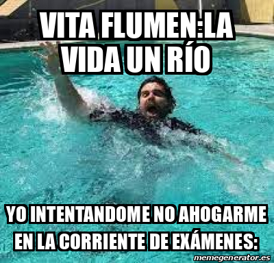 Meme Personalizado - Vita flumen:la vida un río Yo intentandome no ...