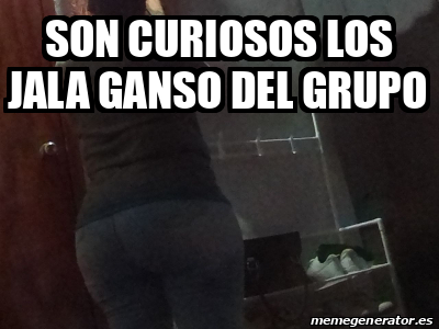 Meme Personalizado - son curiosos los jala ganso del grupo - 33261725