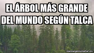 Meme Personalizado - El árbol más grande del mundo según talca - 33263241