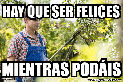Meme Personalizado - HAY QUE SER FELICES MIENTRAS PODÁIS - 33264095