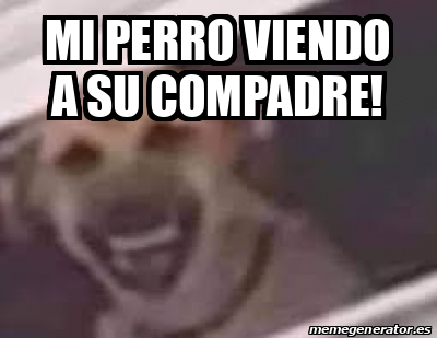 Meme Personalizado - mi perro viendo a su compadre! - 33266828
