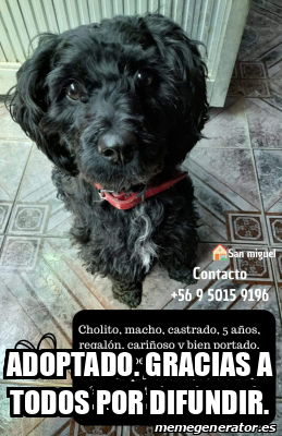 Meme Personalizado - Adoptado. Gracias a todos por difundir. - 33272643