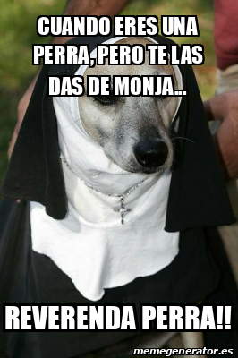 Meme Personalizado - Cuando eres una perra, pero te las das de monja ...