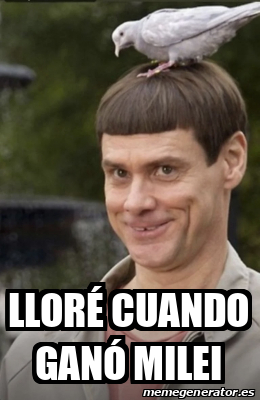 Meme Personalizado - Lloré cuando ganó Milei - 33273408