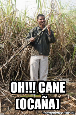 Meme Personalizado - Oh!!! Cane (Ocaña) - 33274330