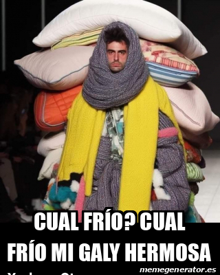 Meme Personalizado - Cual frío? Cual frío mi galy hermosa - 33274575
