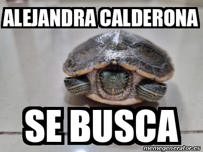 Meme Personalizado - alejandra calderona se busca - 33276123