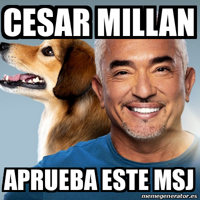 Meme Personalizado - Cesar millan Aprueba este msj - 33276240