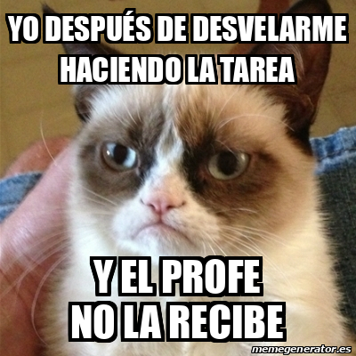 Meme Grumpy Cat - Yo después de desvelarme haciendo la tarea y el profe ...