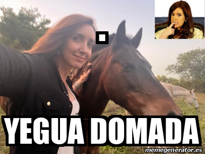 Meme Personalizado - . yegua domada - 33280091