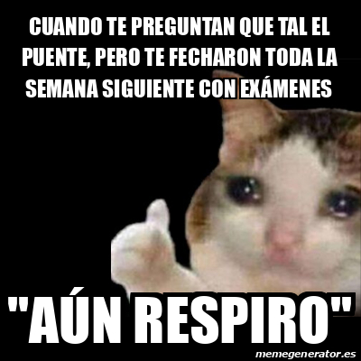 Meme Personalizado - Cuando te preguntan que tal el puente, pero te ...