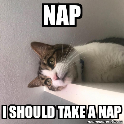 Meme Personalizado - nap i should take a nap - 33281023