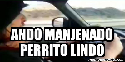 Meme Personalizado - Ando manjenado perrito lindo - 33282430