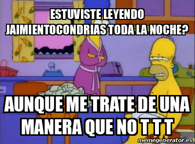 Meme Personalizado - Estuviste leyendo jaimientocondrias toda la noche ...