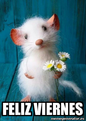 Meme Personalizado - feliz viernes - 33286609