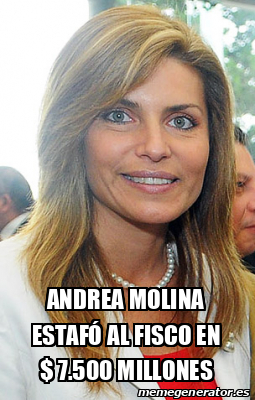 Meme Personalizado - Andrea Molina estafó al fisco en $ 7.500 millones ...