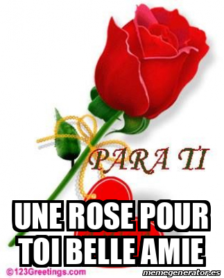 Meme Personalizado - Une rose pour toi belle amie - 33286871