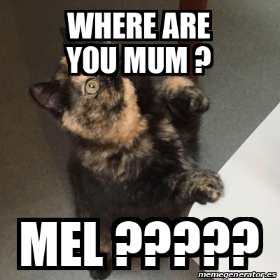 Meme Personalizado - Where are you Mum ? Mel ????? - 33287927