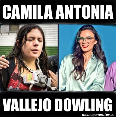Meme Personalizado - Camila antonia Vallejo Dowling - 33289254