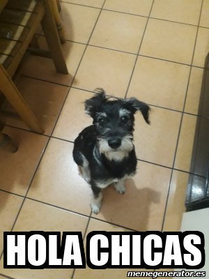 Meme Personalizado - Hola chicas - 33289699