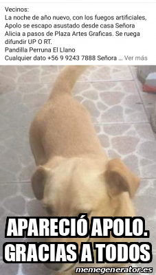 Meme Personalizado - Apareció Apolo. Gracias a todos - 33290755