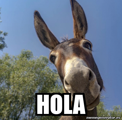 Meme Personalizado - Hola - 33294256