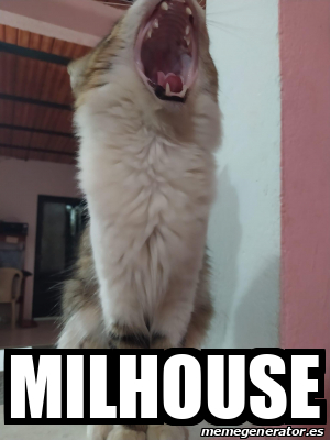 Meme Personalizado - MILHOUSE - 33295703