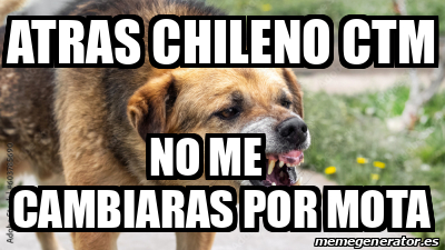 Meme Personalizado - atras chileno ctm no me cambiaras por mota - 33298407