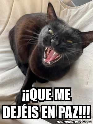 Meme Personalizado - ¡¡Que me dejéis en paz!!! - 33298746