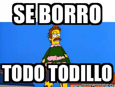 Meme Personalizado - se borro TODO TODILLO - 33299214