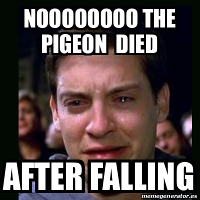 Meme crying peter parker - Noooooooo the pigeon died After falling ...