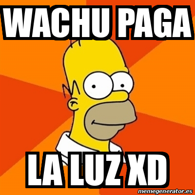 Meme Homer - WACHU PAGA LA LUZ XD - 33300346