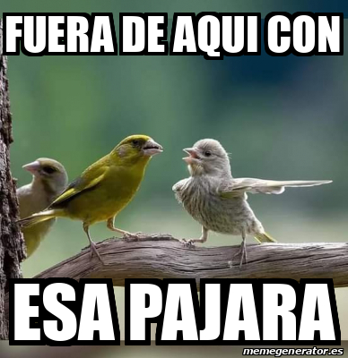 Meme Personalizado - Fuera de aqui con esa pajara - 33301791