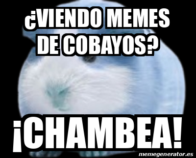 Meme Personalizado - ¿Viendo memes de cobayos? ¡CHAMBEA! - 33304798
