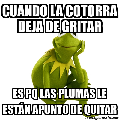 Meme Kermit the frog - cuando LA Cotorra deja de gritar Es pq las ...