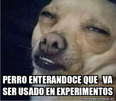Meme Personalizado - PERRO ENTERANDOCE QUE VA SER USADO EN EXPERIMENTOS ...