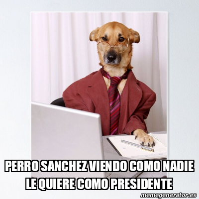 Meme Personalizado - perro sanchez viendo como nadie le quiere como ...