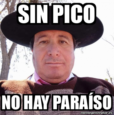 Meme Personalizado - Sin pico No hay paraíso - 33312615