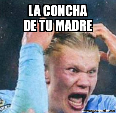 Meme Personalizado - LA CONCHA DE TU MADRE - 33314077