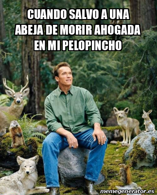 Meme Personalizado - Cuando salvo a una abeja de morir ahogada en mi ...