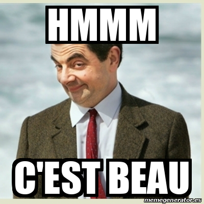 Meme Mr Bean - Hmmm C'est beau - 33317018