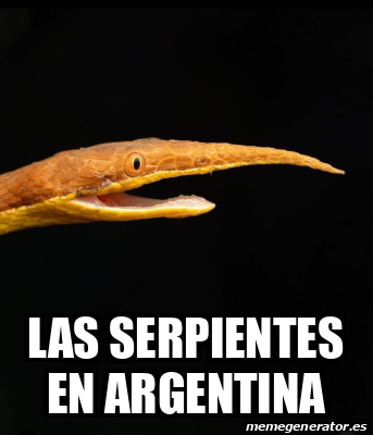 Meme Personalizado - Las serpientes en Argentina - 33317317