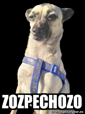 Meme Personalizado - ZOZPECHOZO - 33320089