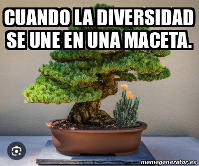 Meme Personalizado - cuando la diversidad se une en una maceta. - 33322913