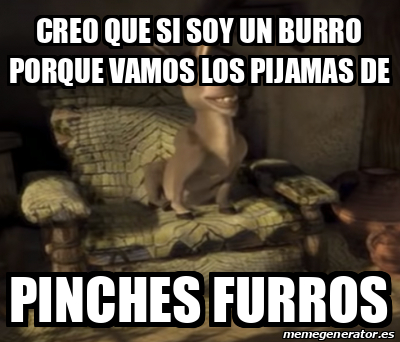 Meme Personalizado - cREO QUE SI SOY UN BURRO PORQUE VAMOS LOS PIJAMAS ...