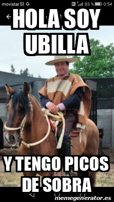 Meme Personalizado - Hola soy ubilla Y tengo picos de sobra - 33324622